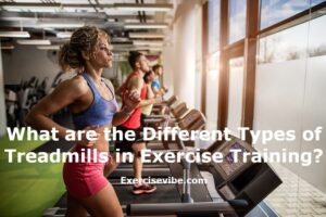 What are the Different Types of Treadmills in Exercise Training ...